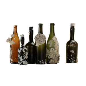 Spirit Bottles - Rose Tarlow