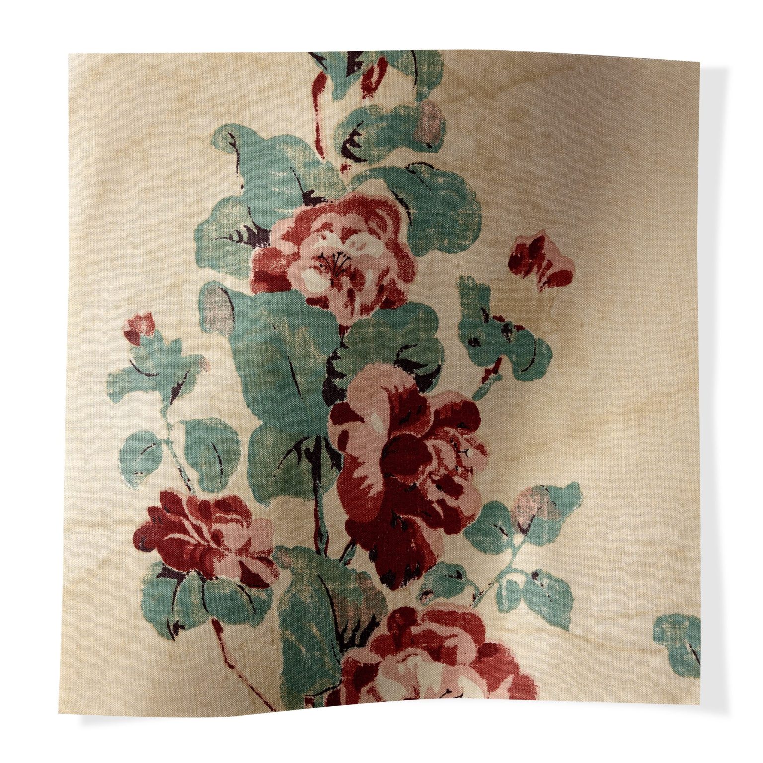 Bloomsbury Kiwi - Rose Tarlow