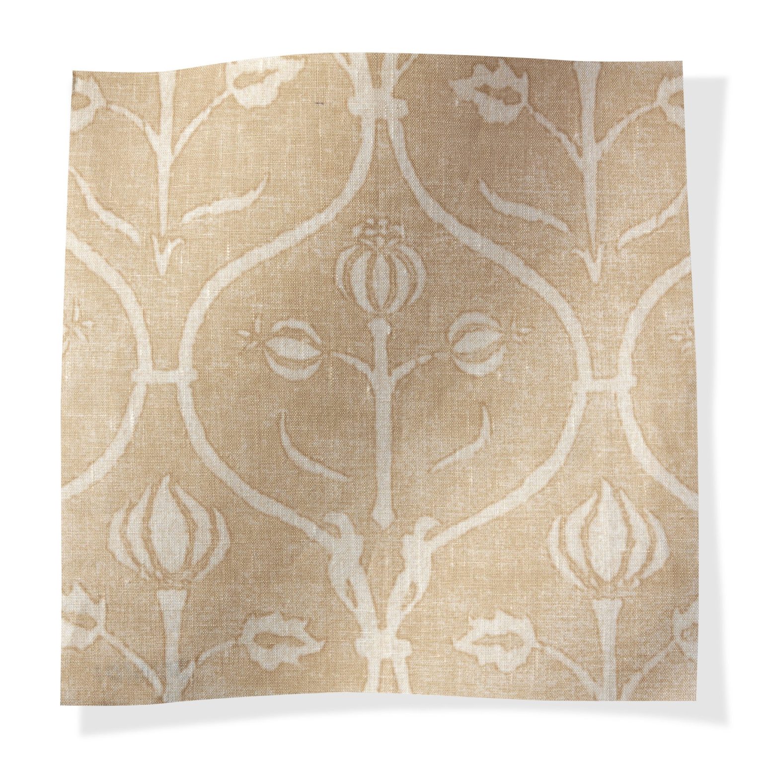 PADUA Selce - Rose Tarlow