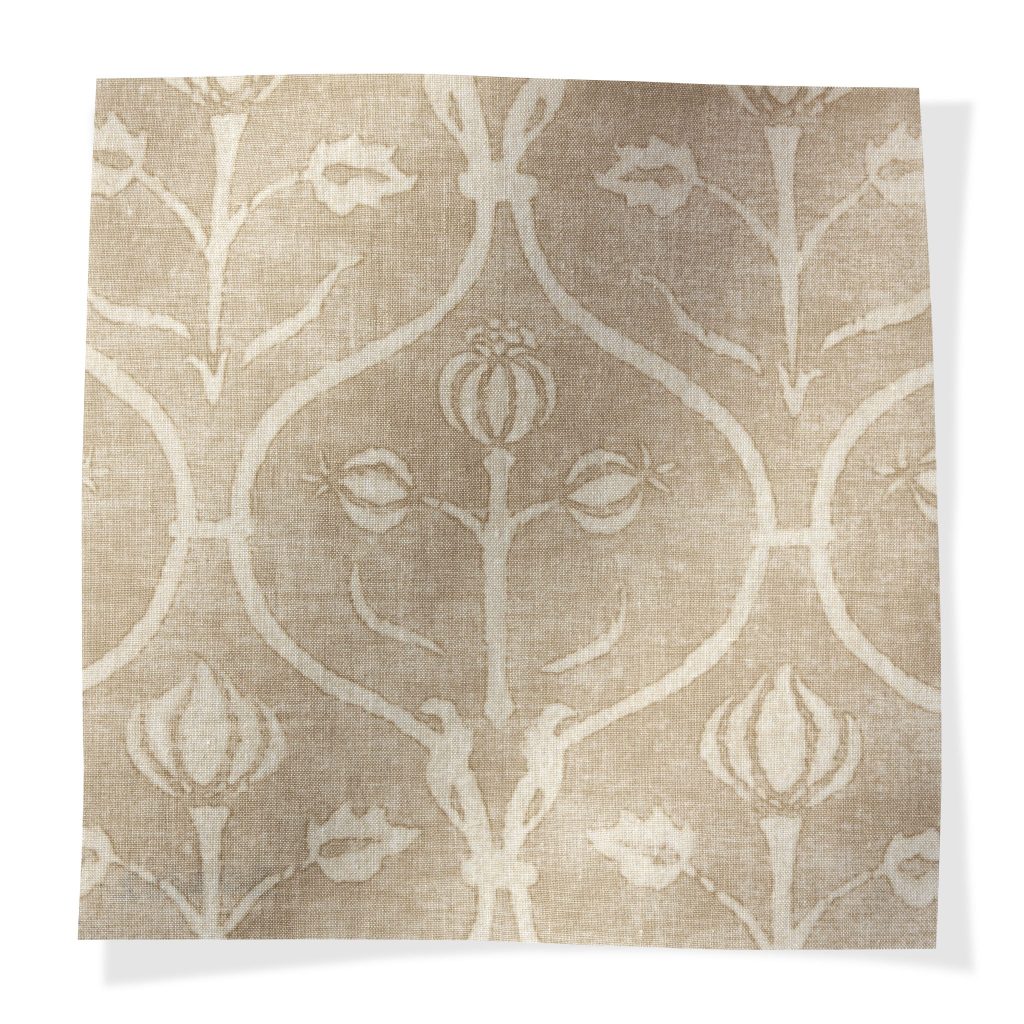 PADUA Selce - Rose Tarlow