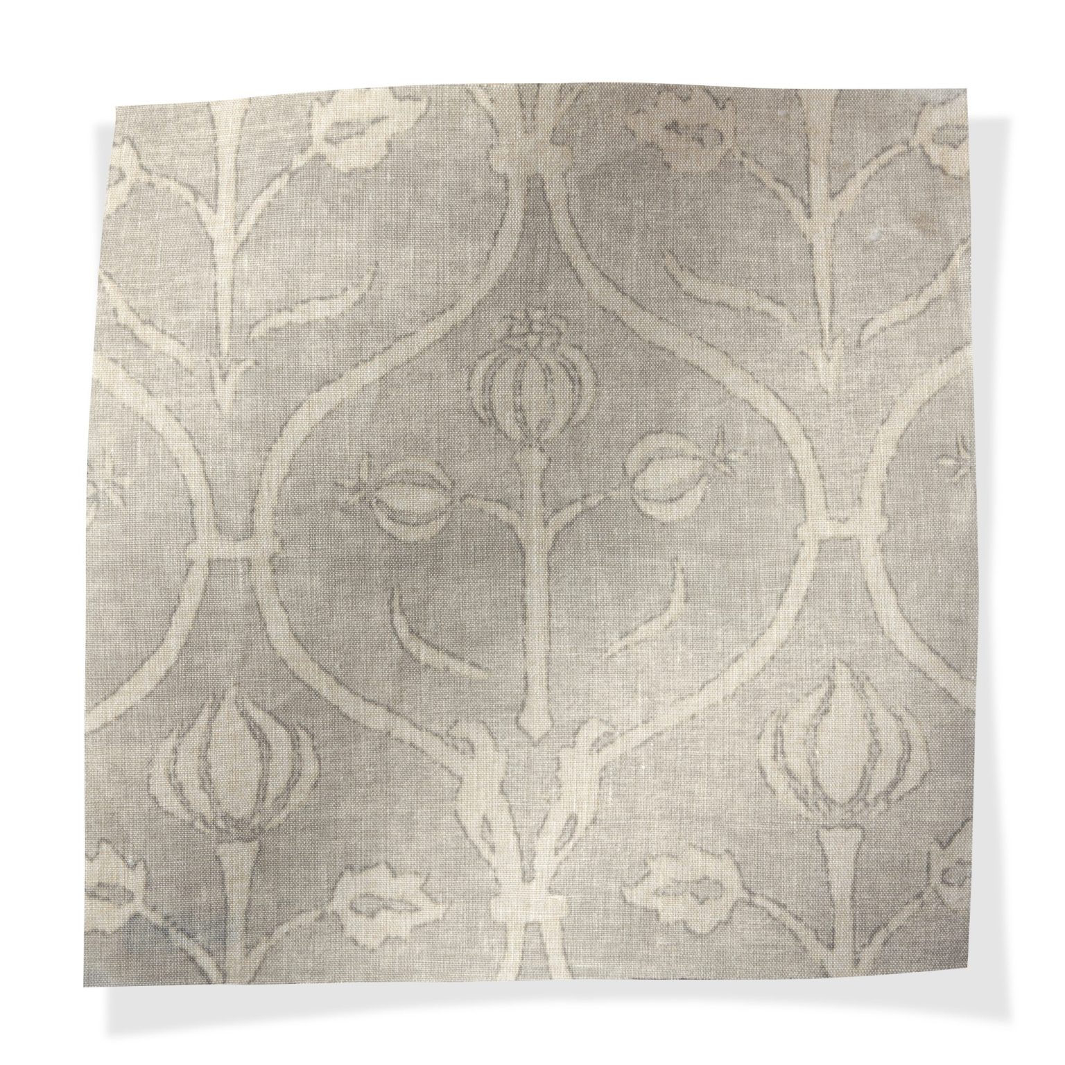 PADUA Selce - Rose Tarlow