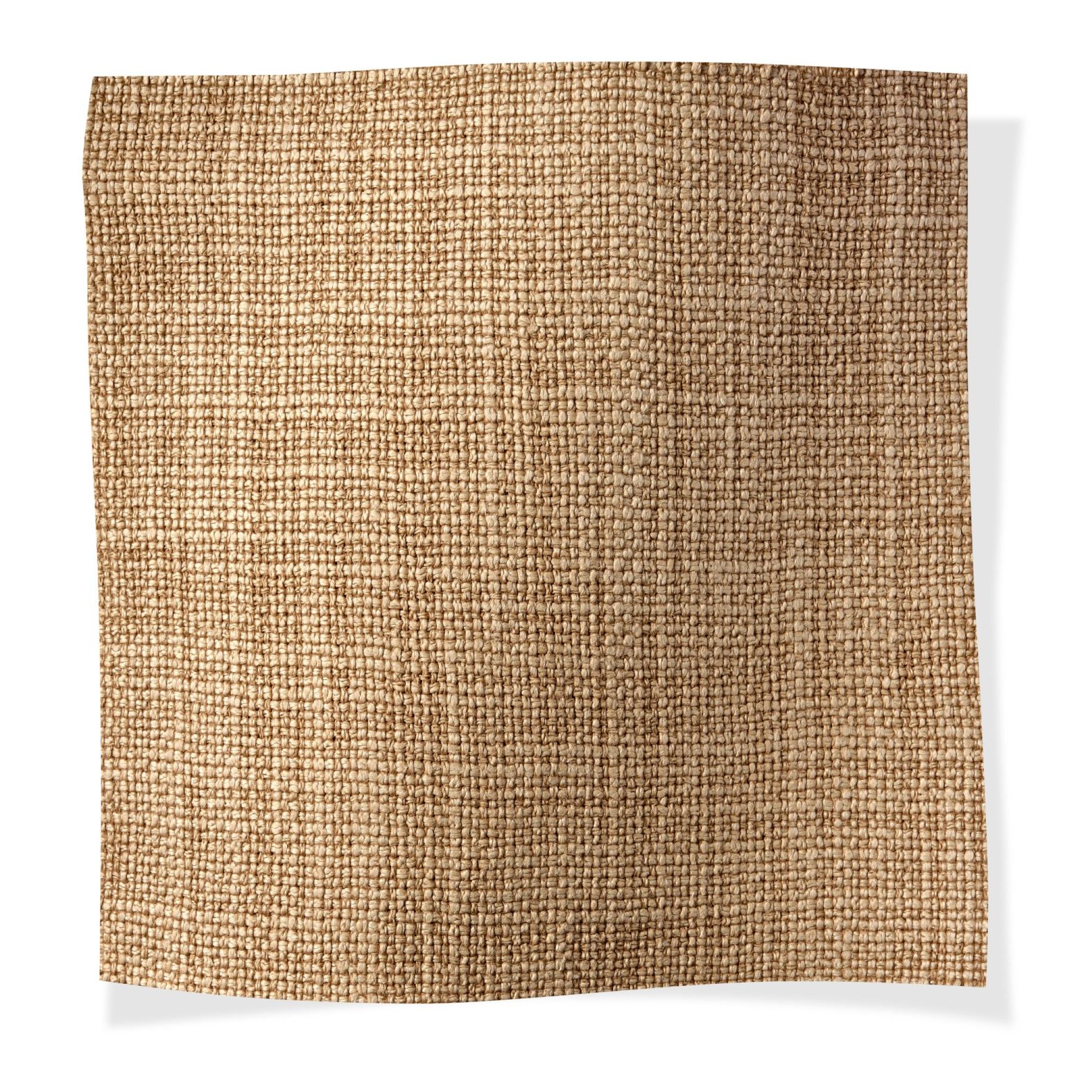 Ardennes Roan - Rose Tarlow